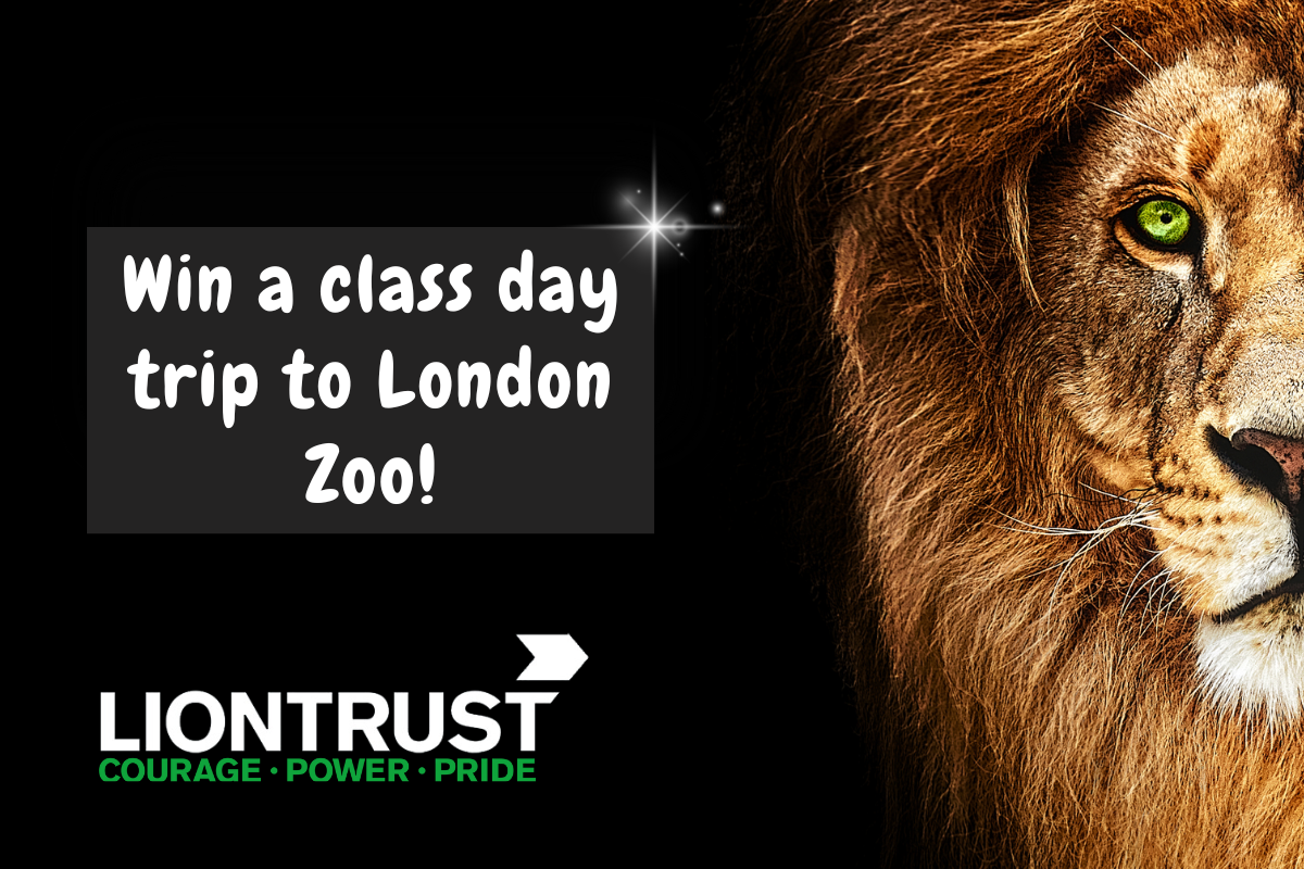 Name London Zoo’s Endangered Asiatic Lion Cubs Competition